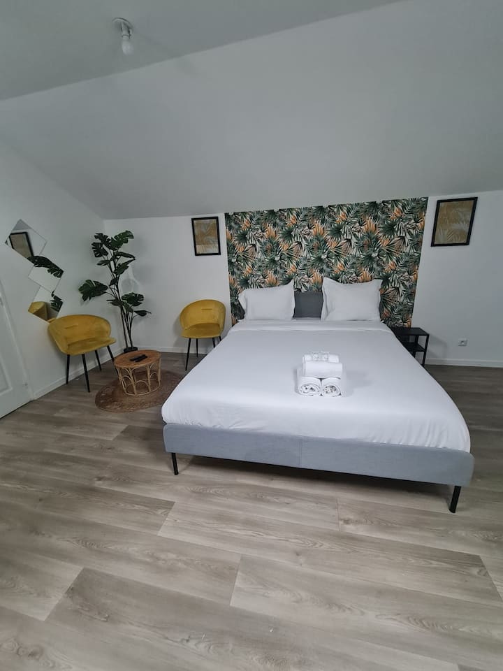 Ng Suite Home Prestige Cassel ~ 10 ~ Classique - Marcq-en-Barœul