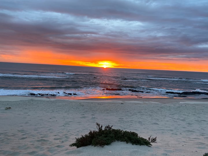 Nice Flat With Beach View - Viana do Castelo