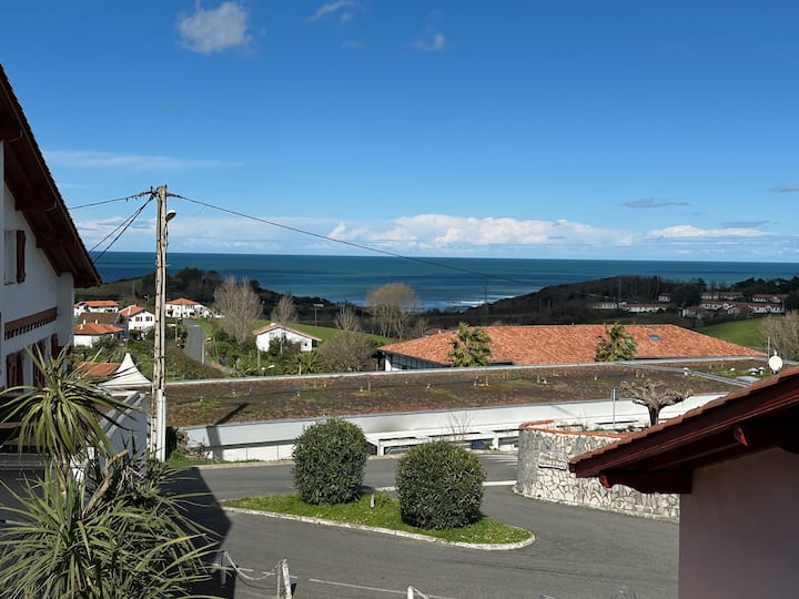 T2 Bis De Charme Vue Mer Proche Guethary - Sare