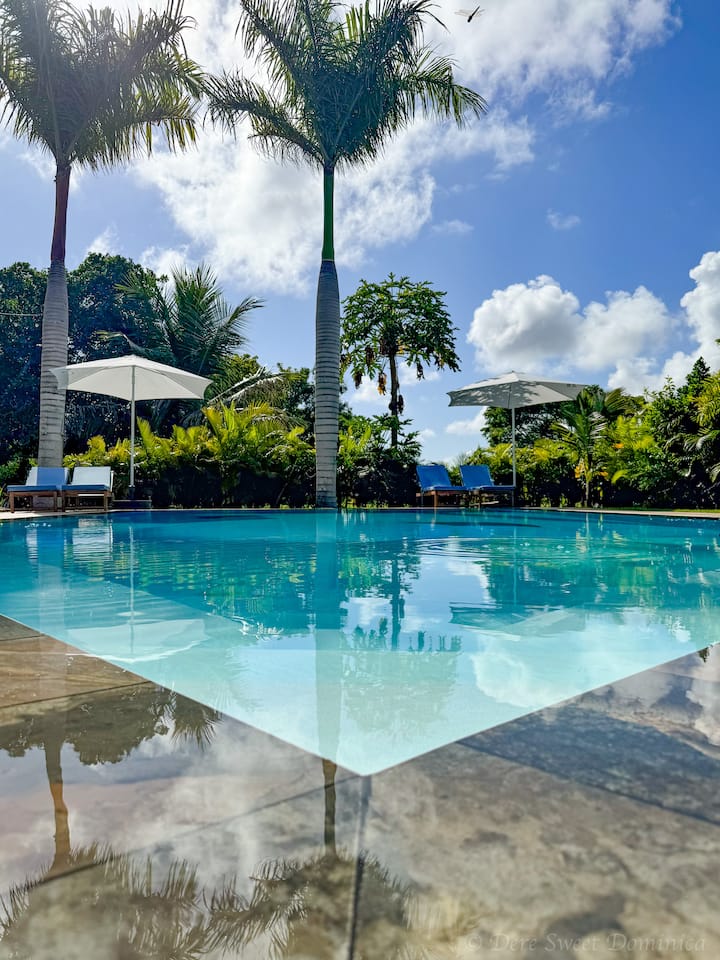 Elysium Breakfast-transfer-power - Punta Cana