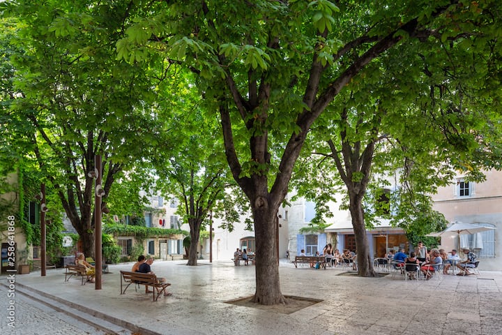 Appartement à 200m Du Centre - Saint-Rémy-de-Provence