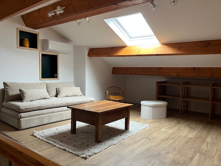 Duplex - Pibrac - Pibrac