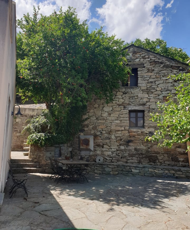 L’art De Faire Une Pause Au Vert - Saint-Florent