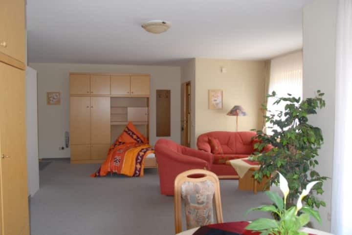 Appartements Am Friedrichstein I - Bad Wildungen