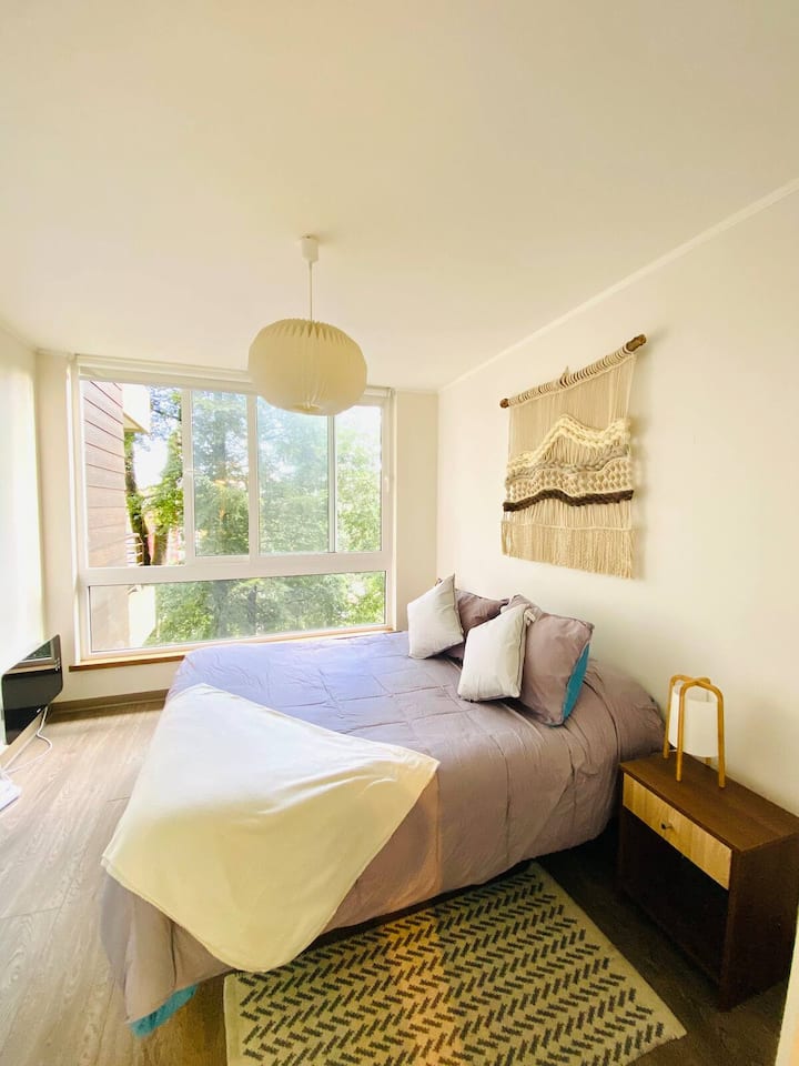 Condómino Payllahue, Pucon - Pucón