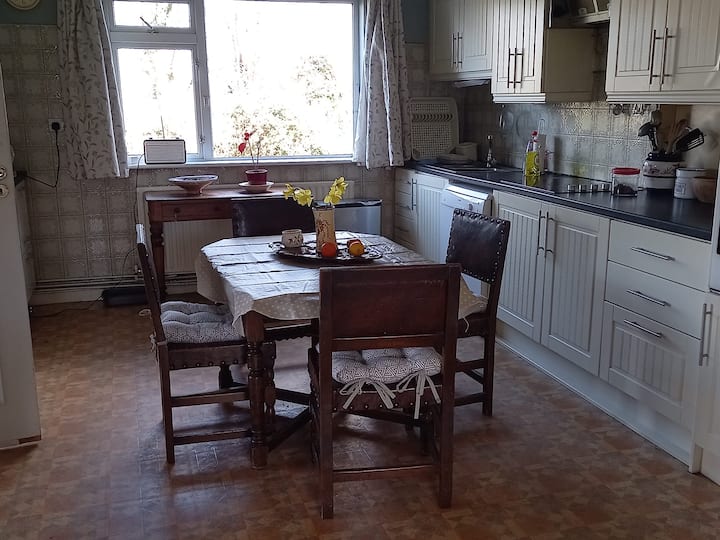Large House 3km Limerick Gpo. - Shannon