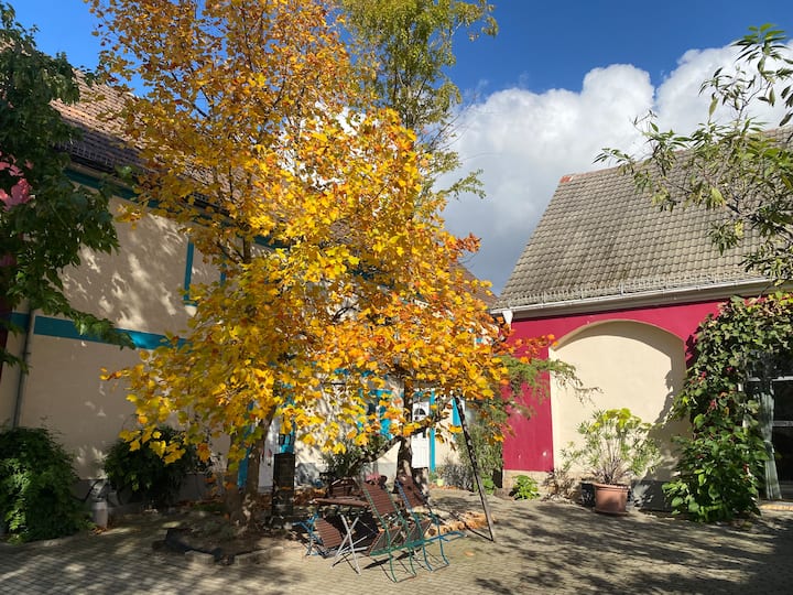 Ferienwohnung Am Elberadeweg - ドレスデン