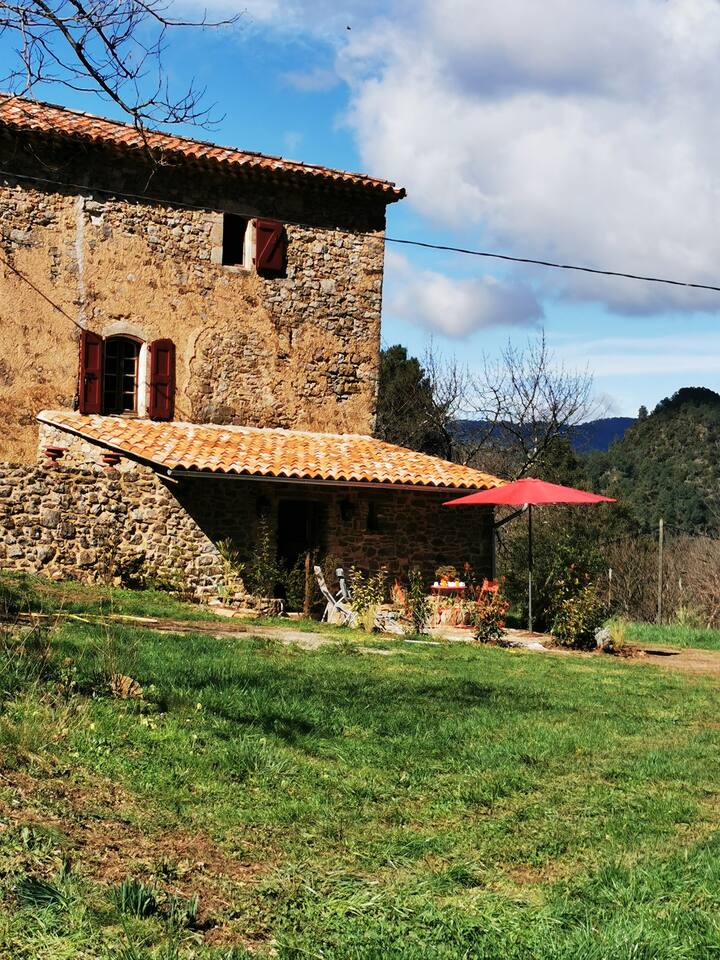 Gîte Douillet Dans Vieux Mas - Saint-Jean-du-Gard