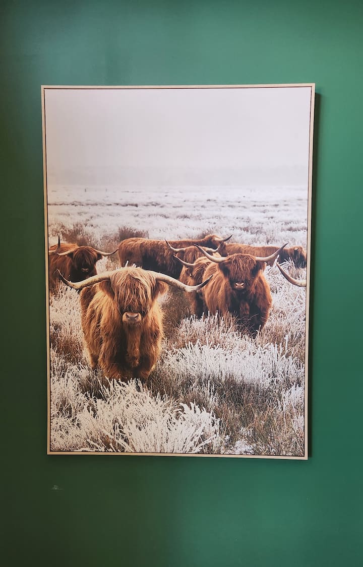 Highland Homestead - Perth