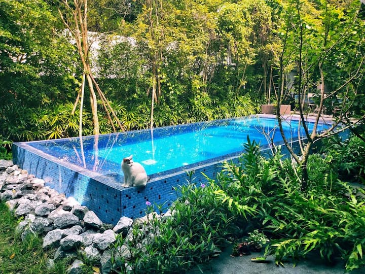 Spacious Family Room | Garden View | Near Maya - Chiang Mai