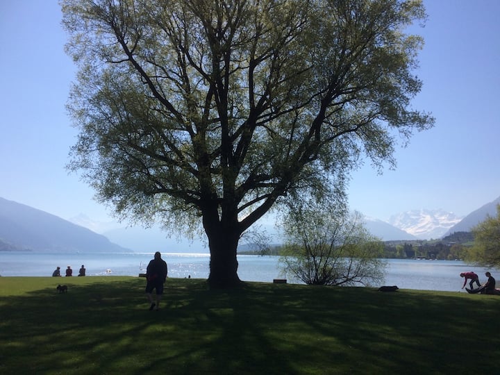 Zimmer Wilma - Haus Am Schönen Thunersee - Thun