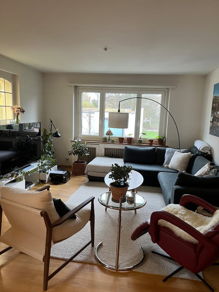 Appartement Cozy à Zurich - Zurique