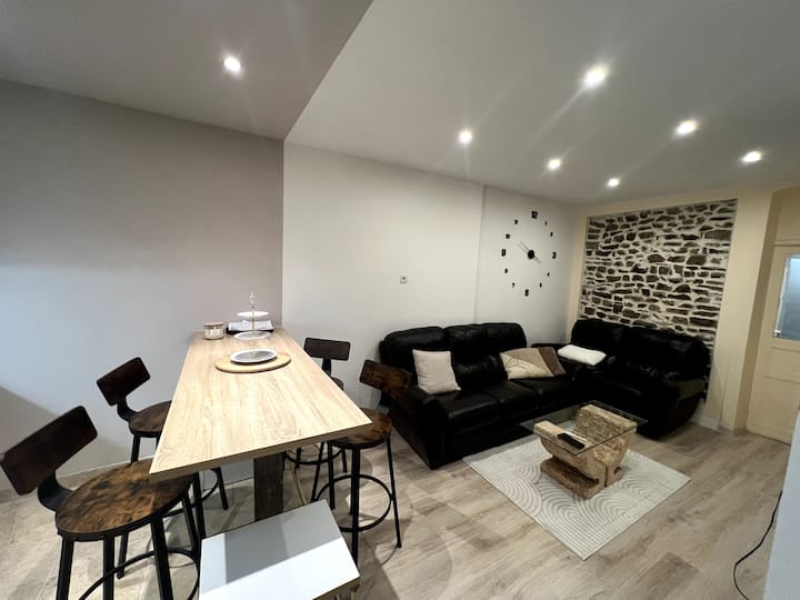 Appartement Atypique Et Moderne - Fougères