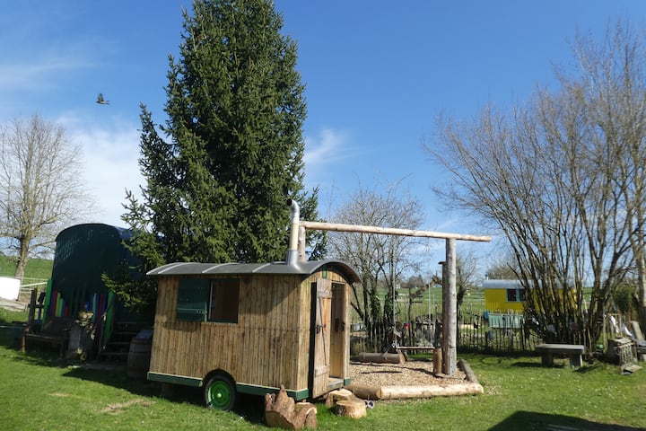 Waldwagen Für Kleine Gäste - Stockach