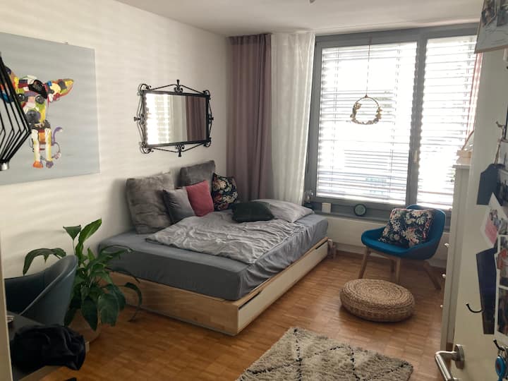 Zimmer In Wg - Basilea