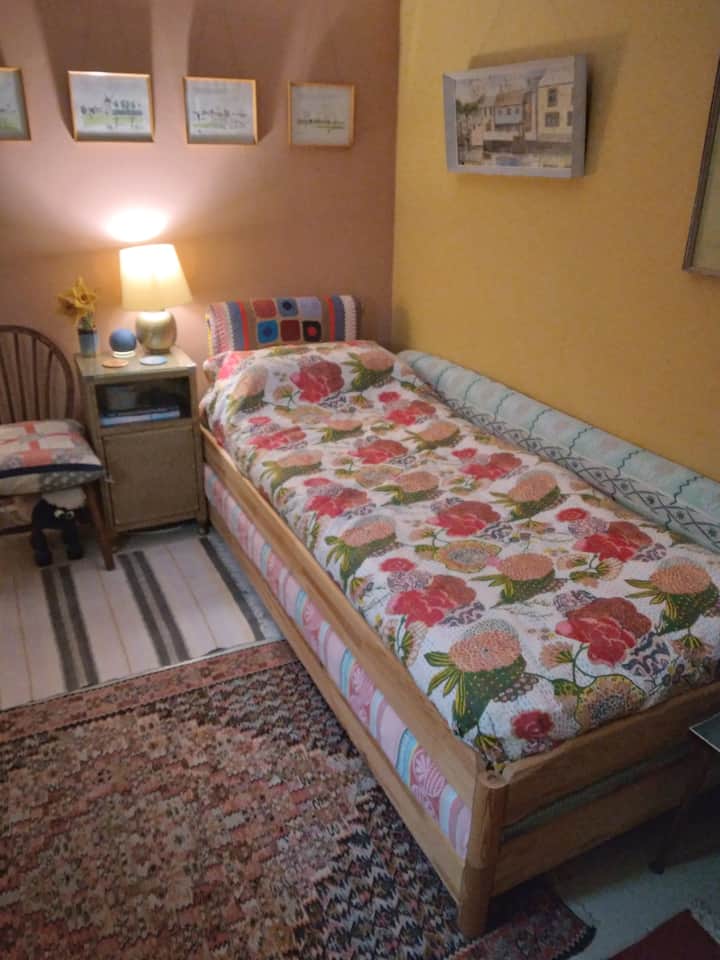 Golden Triangle's Finest Room! - Norwich