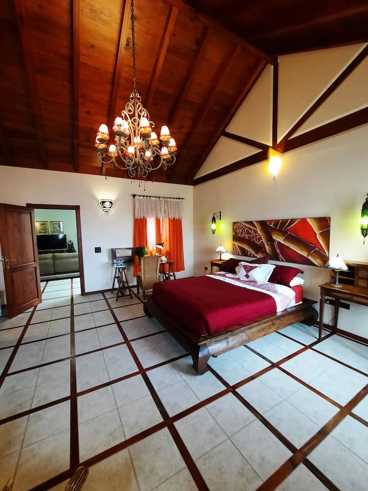 Raíz Drago - Icod de los Vinos