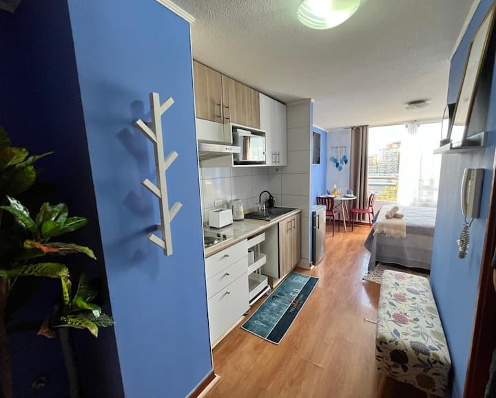 Funcional Home Studio Cercano A Metro - Santiago (Chile)