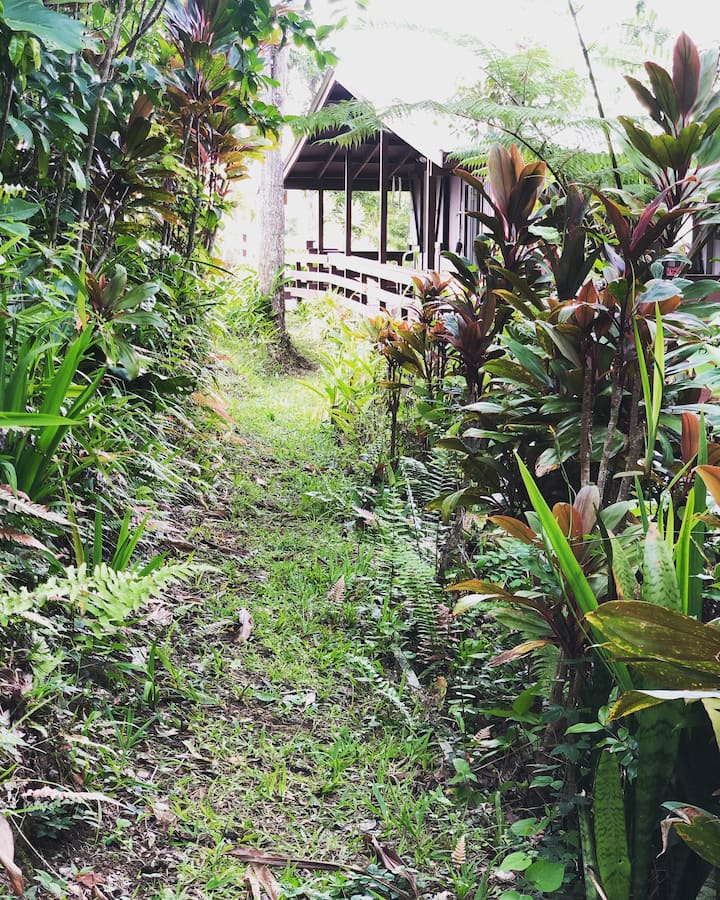 Glamping With Style - Cayey