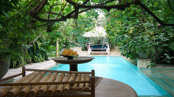 Quiet Tropical Studio - Australia