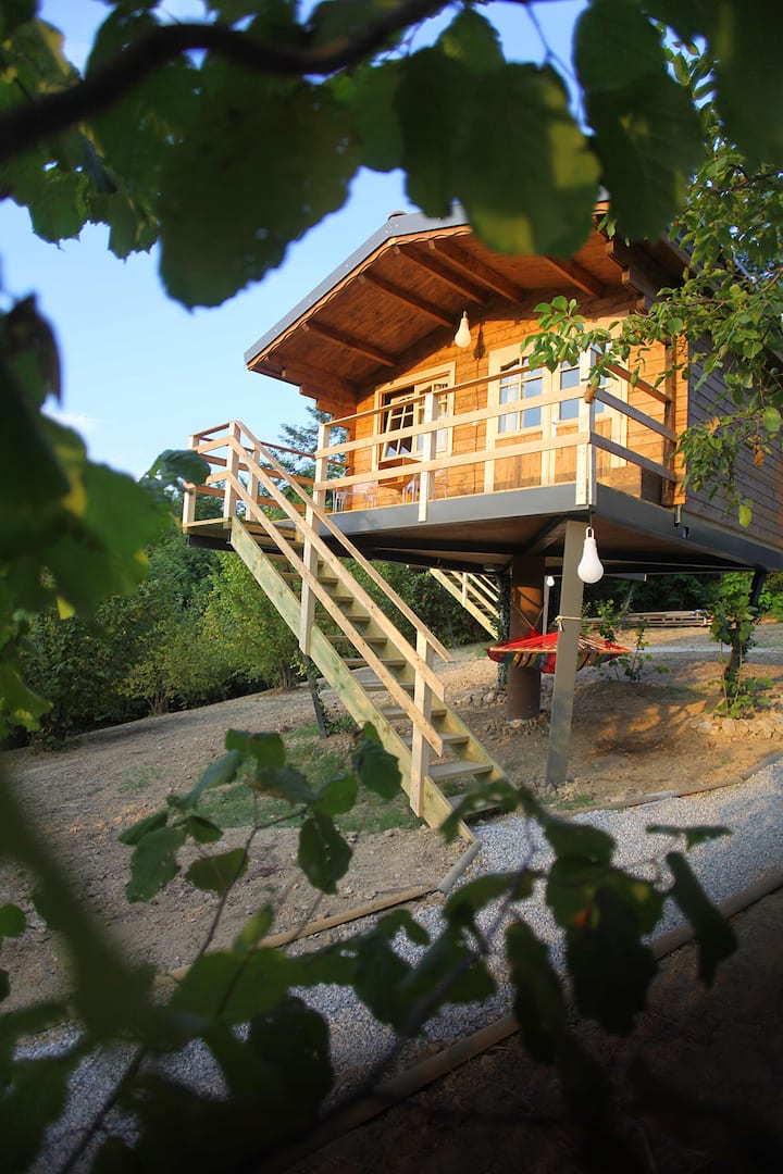 Eco Lodge Scricciolo - Bra