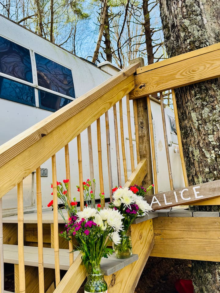 Alice - Green Acres Resort - Floyd, VA