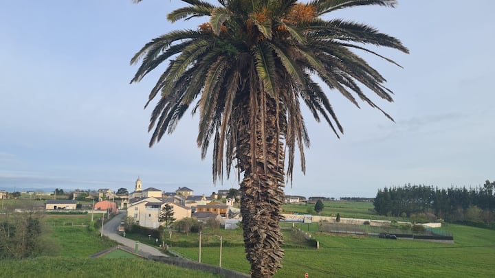 Rincón De La Palmera Ii - Castropol