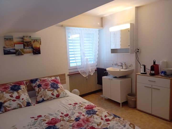 Wohnung In Münchenstein - Basilea