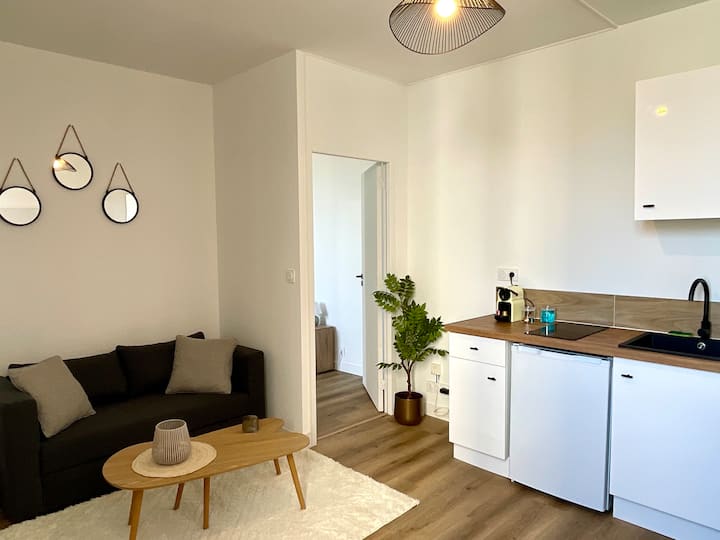 Le Breizh - T2 En Centre Ville - Rennes