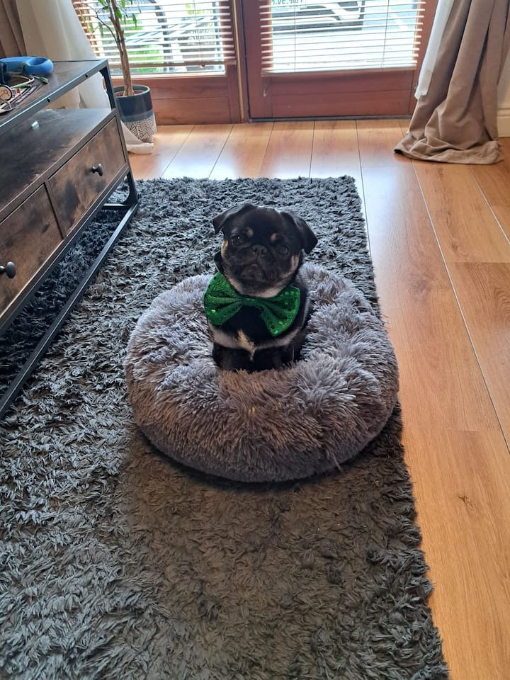 Room For One In Clane - Naas