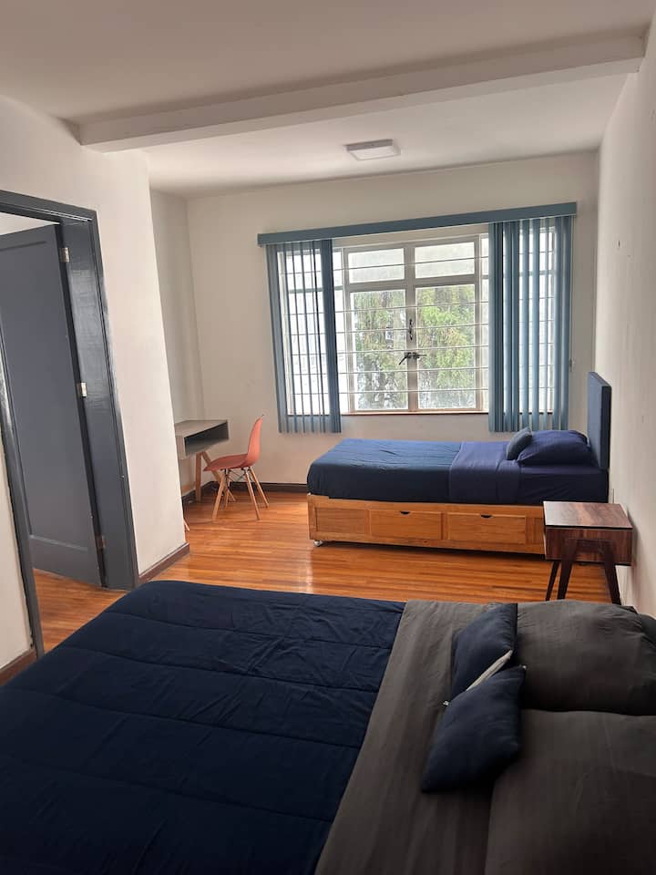 Casa Del Bosque Guest House - Mexico City