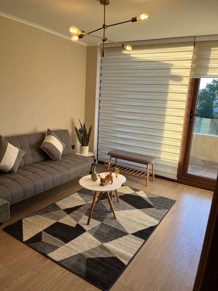 Departamento Villarrica - Villarrica