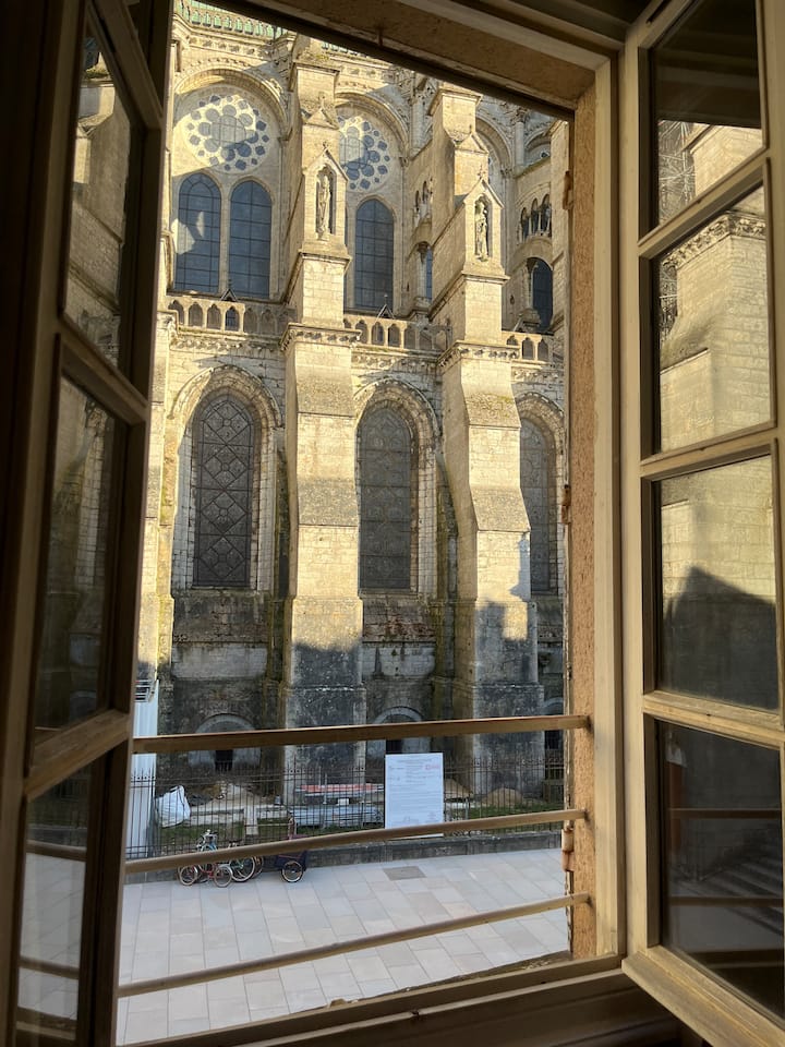 Studio Cathédrale Notre-dame - Chartres