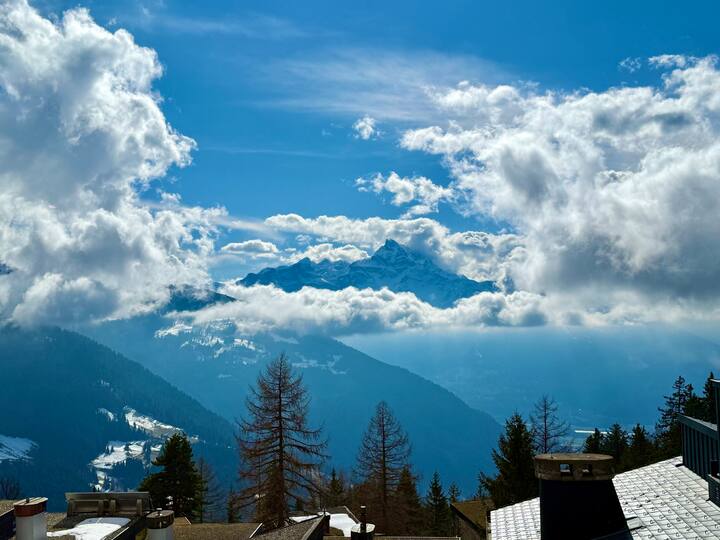 118 Chalet Cosy Avec Vue /6+4pax - Leysin