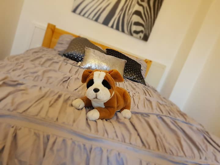 Best City Centre House. Ref H19 - Nottingham