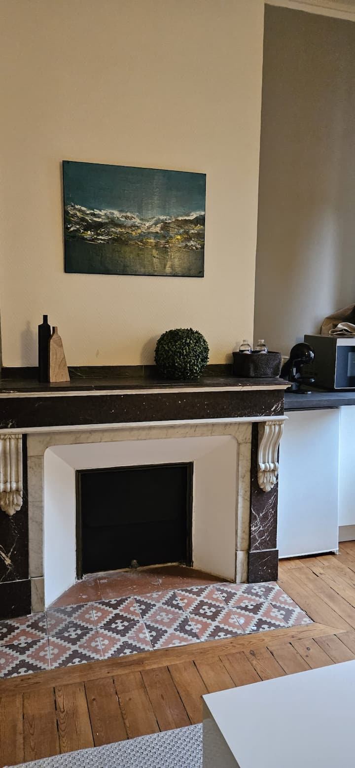 Appartement Confortable  Près Du Capitole  Très Calme - Toulouse