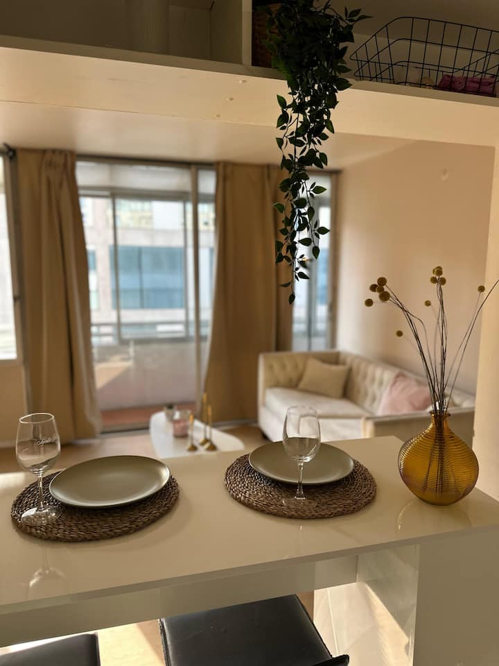 Estilo Depto. Providencia Metro Pedro De Valdivia - Providencia