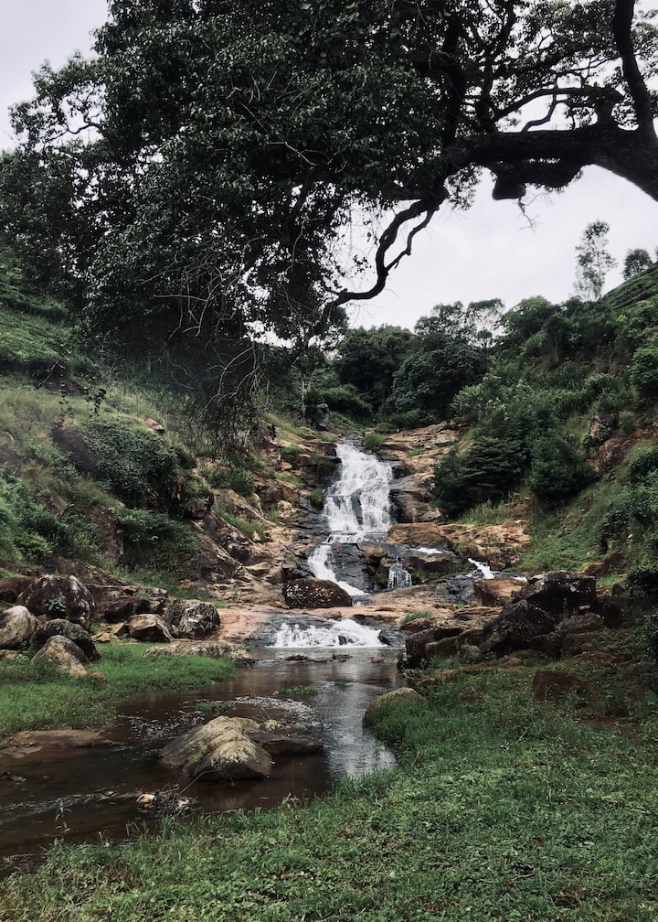 Cascade View At Infinity Valley - Mettupalayam