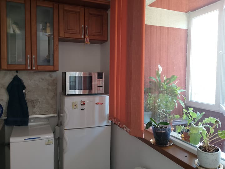 Cozy And Sunny Apartment - Sofia