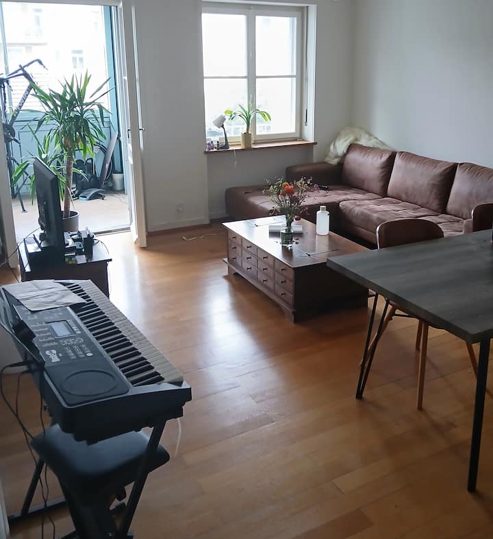 Central, Cozy, Functional. - Basel