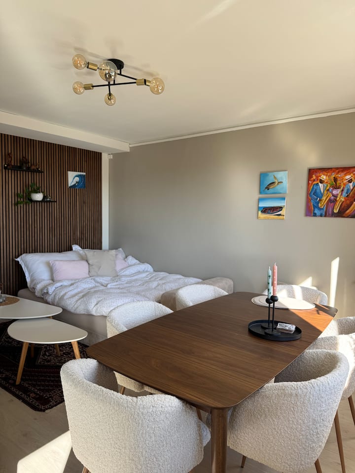 Lekker Og Sentral Leilighet - Oslo