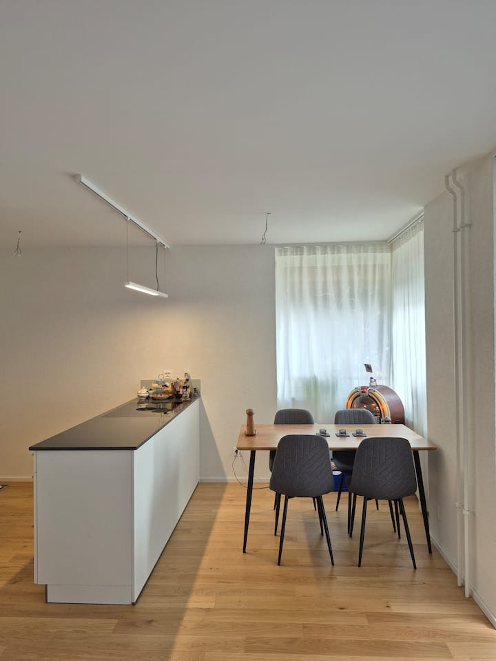 Moderne Zentrale Familienwohnung - Basel