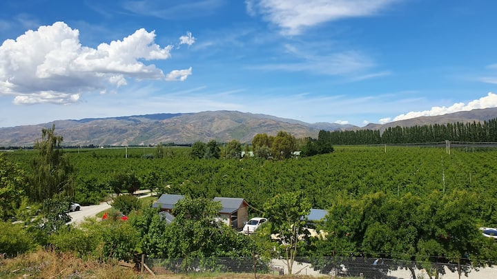 Health Nut Huts - Cromwell