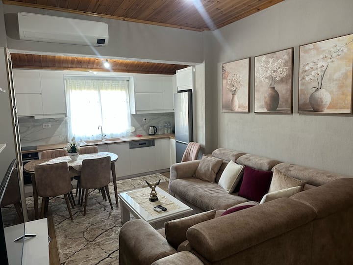 Entire House With Two Bedrooms And Free Parking - Argirocastro