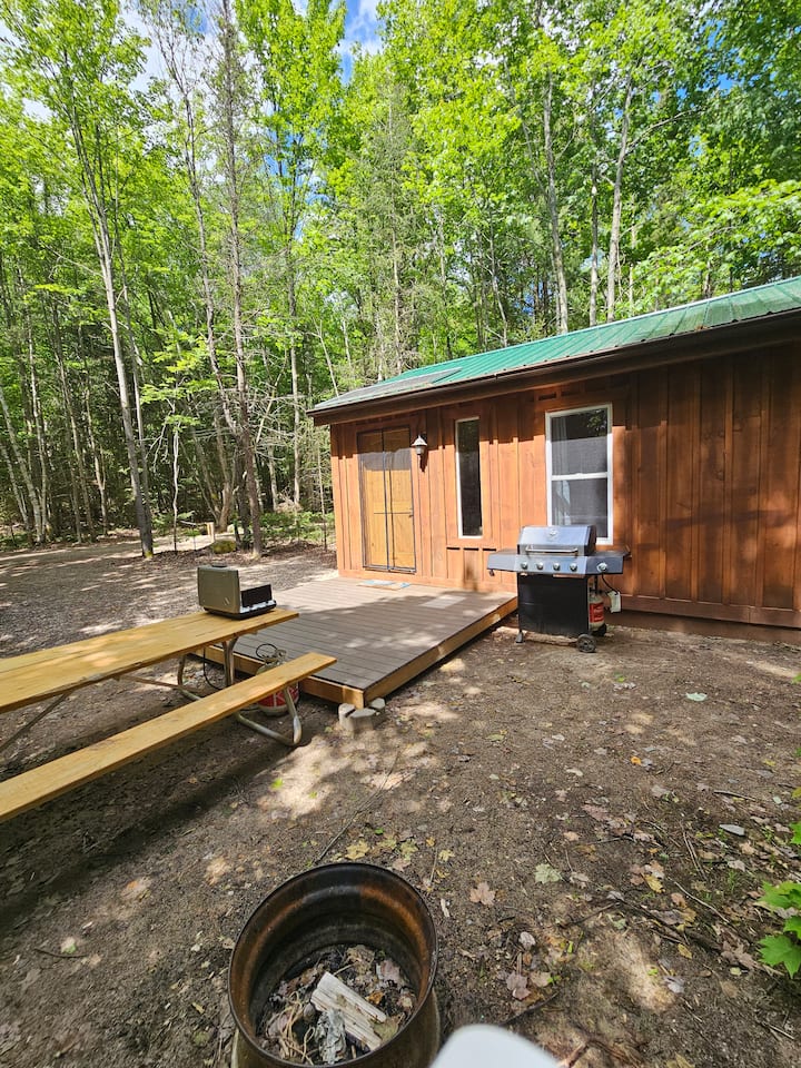 Rustic Off Grid Cabin 16x20 #8 - Ontario 60