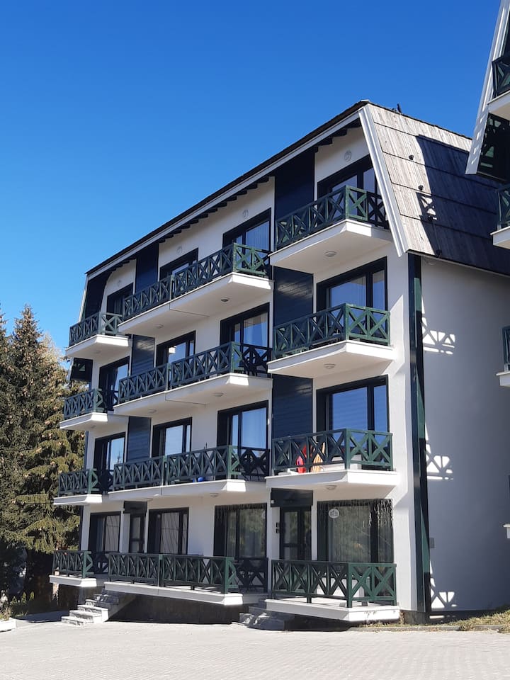 White Eagle - Kopaonik