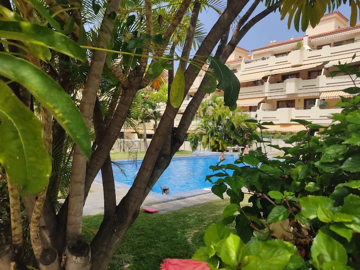 Cardón Curry - Puerto de la Cruz