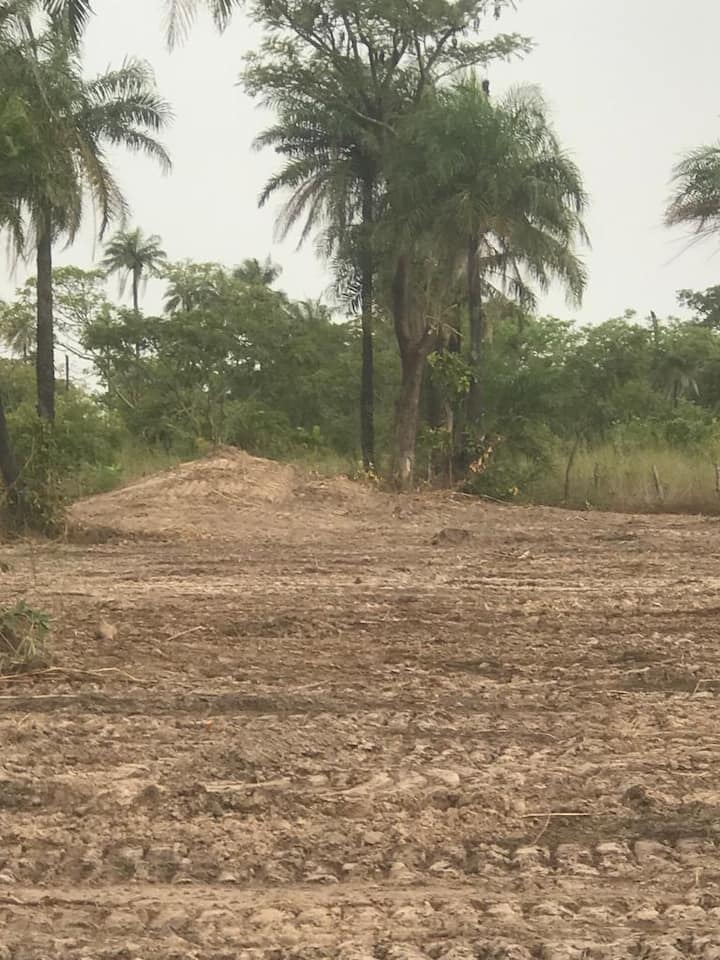 Kartong A'la Beng Dry Camping - The Gambia