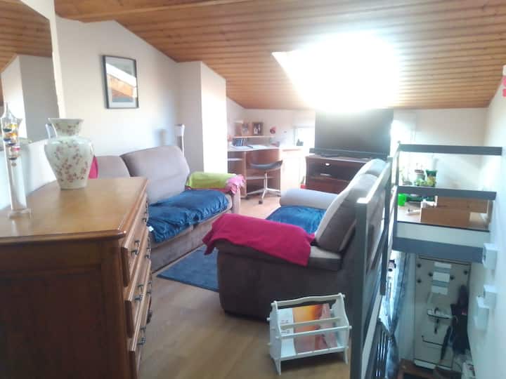 Maison Centre, Calme, Terrasse, Parking Privé. - Remiremont