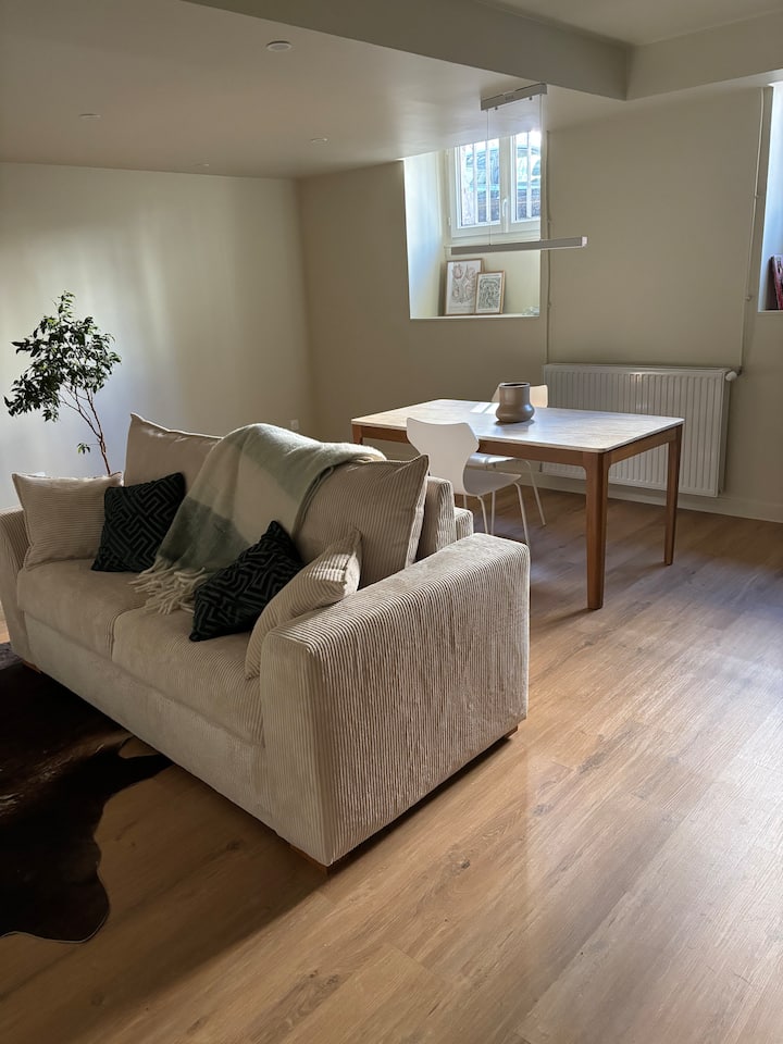 Appartement Hypercentre De Lille - Rijsel